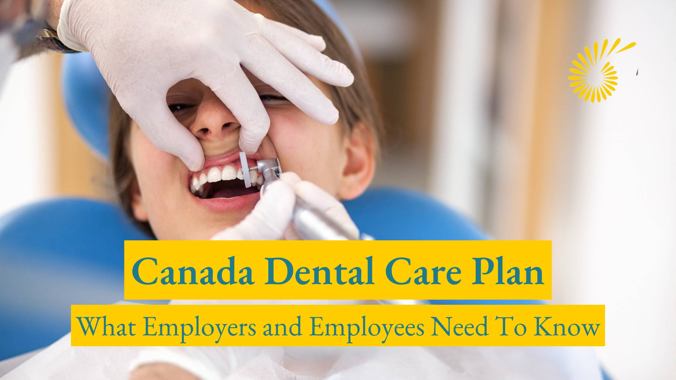 Canada Dental Care Plan: Employers & Employees Need to Know